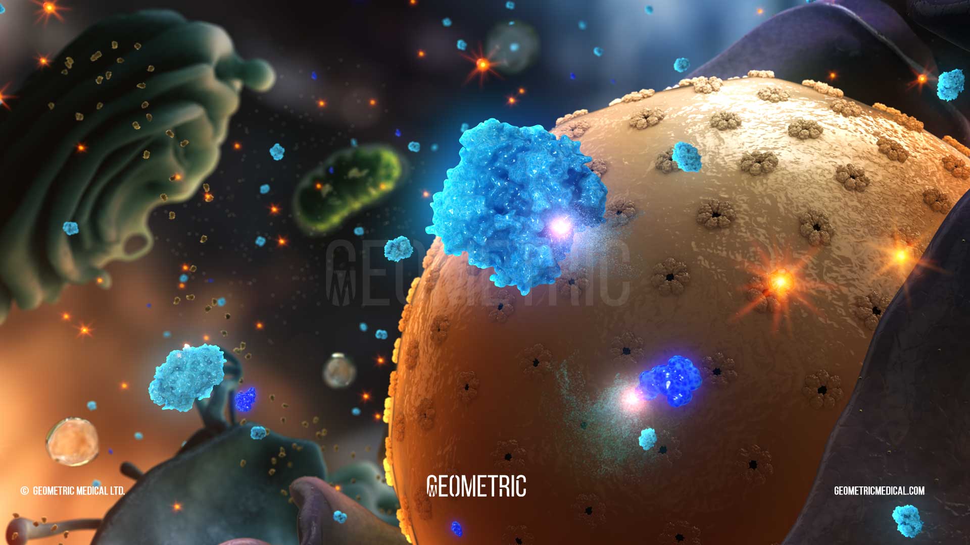 Inside Your Cells Virtual Reality | Geometric Medical Animation